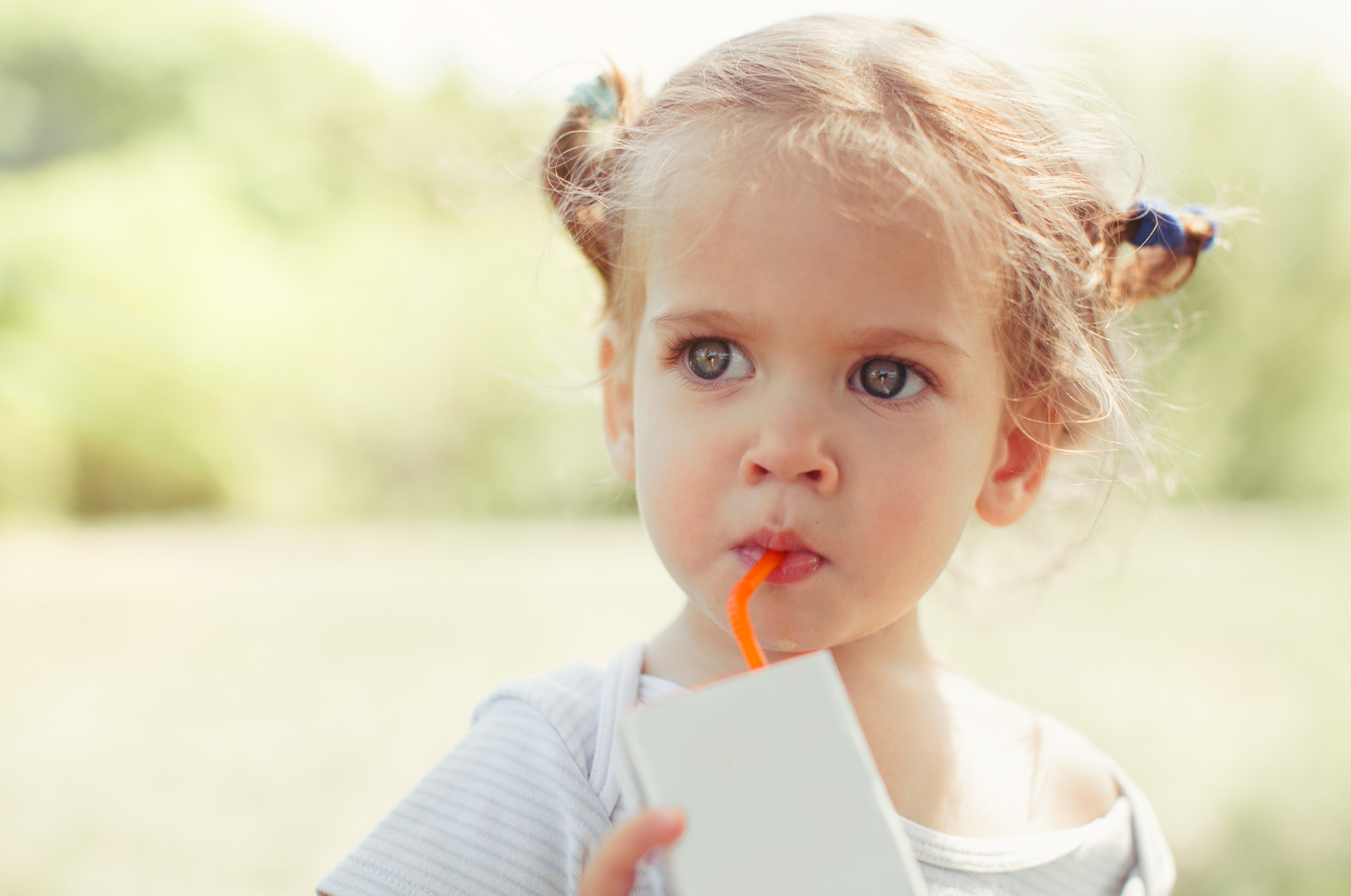 Quetschi | Bioinsel Rosenberger – Bioinsel Rosenberger GmbH